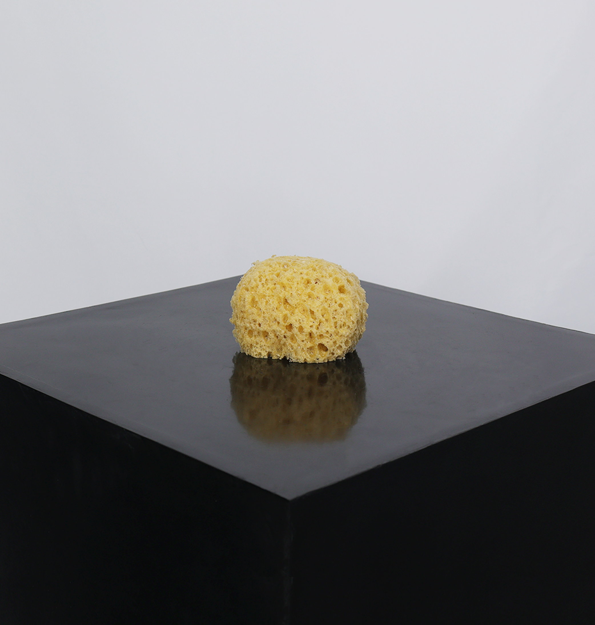 Synthetic Sea Sponge For Decorative Finishes – Impera Italia