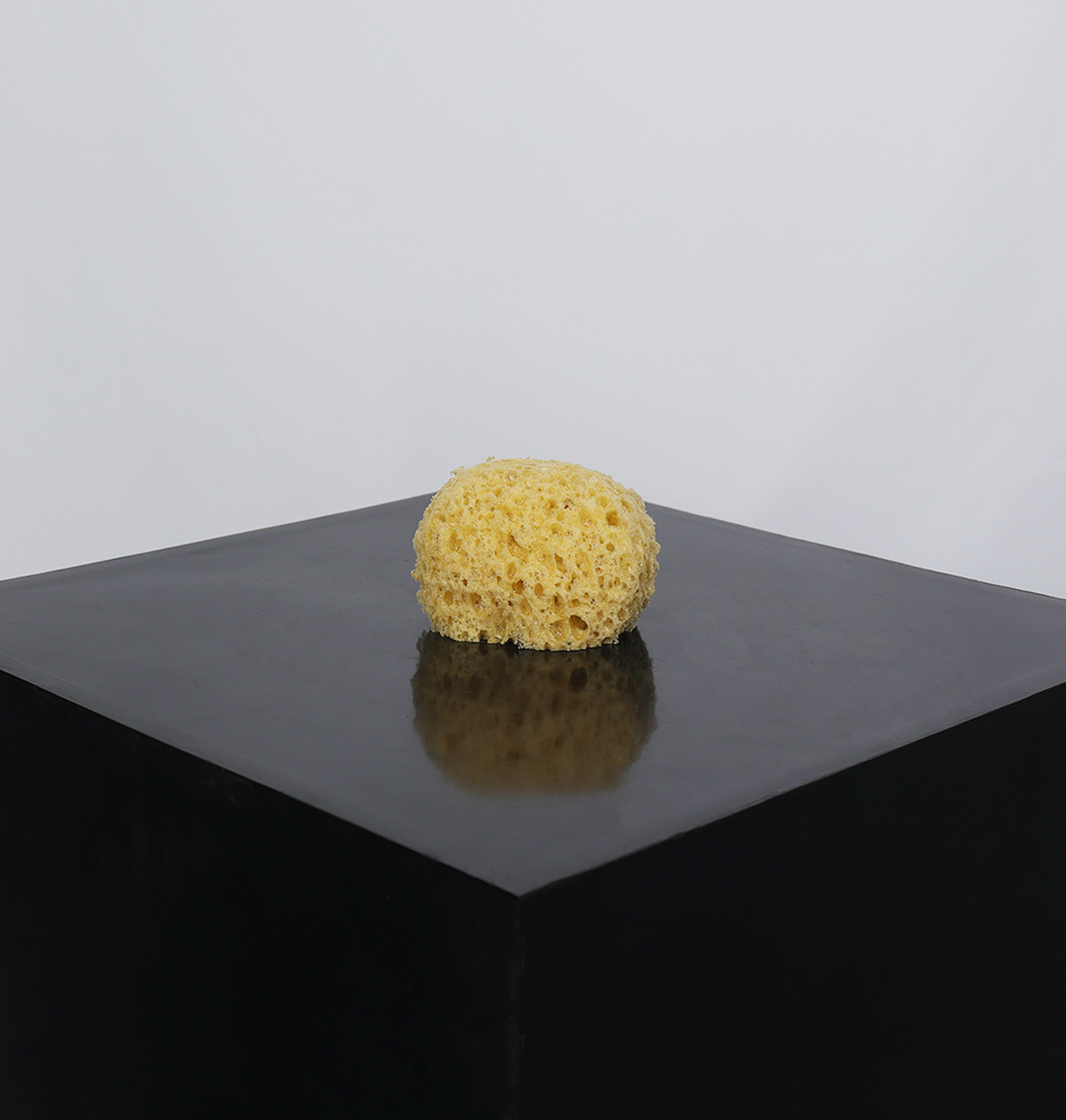 Synthetic Sea Sponge For Decorative Finishes – Impera Italia